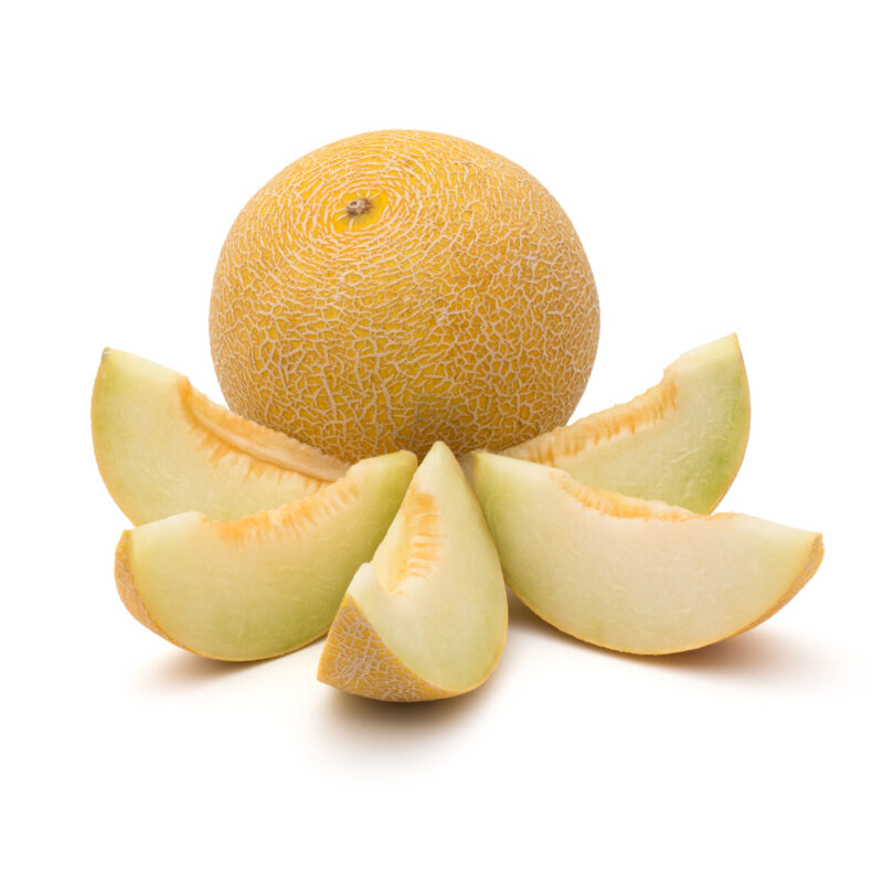 Melón Galia | Chef Fruit