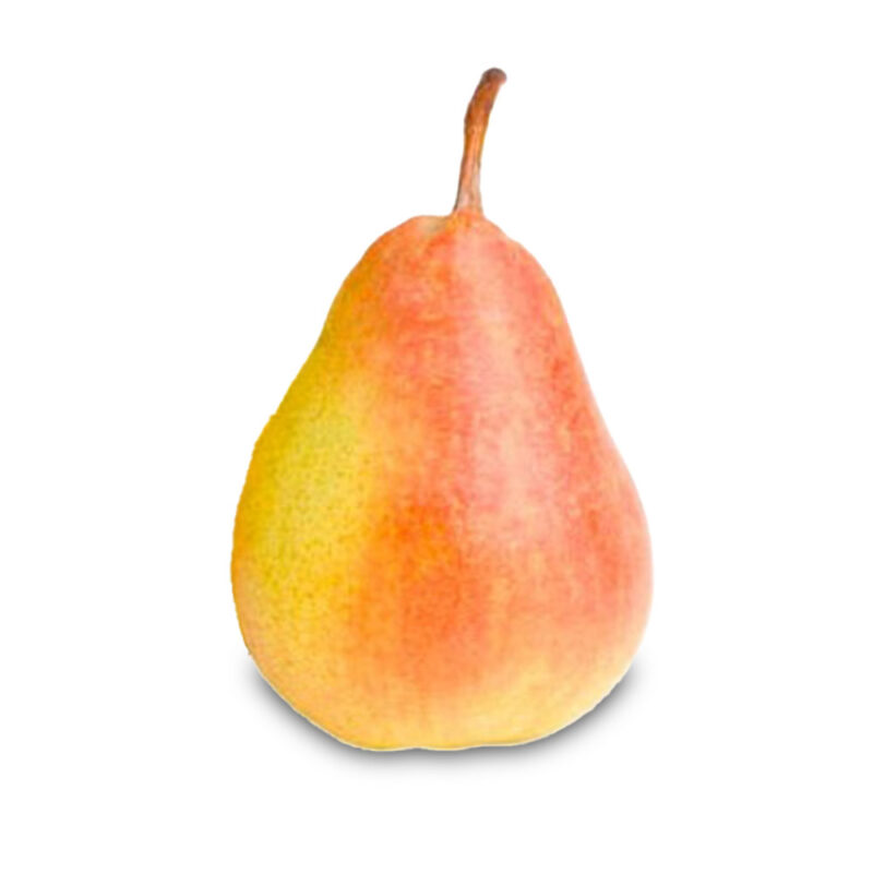 Pera Ercolina 1ª | Chef Fruit