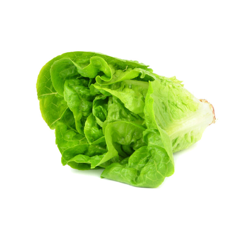 Bio Lechuga | Chef Fruit
