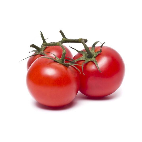Tomate Rama G | Chef Fruit